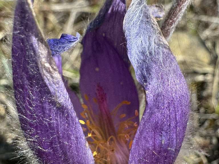 Kuhschellen-Tour 🌸🌺 mit Karl-Heinz 🚴‍♂️🚴‍♂️ ☀️ dabei Emma & Emanuel 🤩 ...