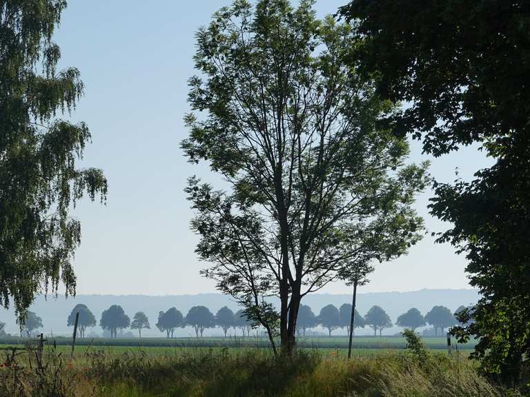 Innerste Radweg von Goslar bis Hannover 2021 | Komoot