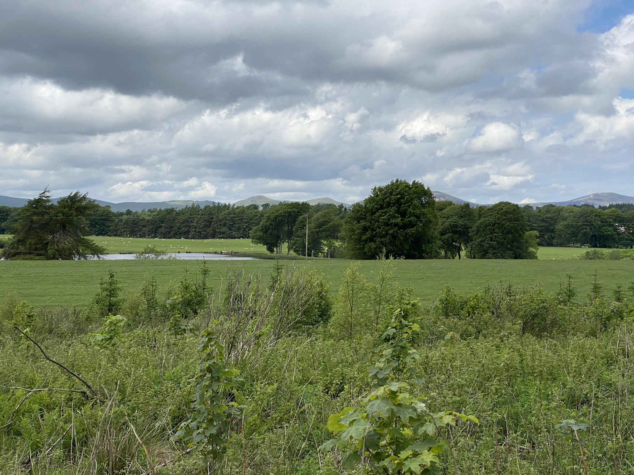 Things to Do around Marchmont And Sciennes