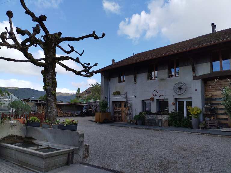 Jakobsweg Rolle-Commugny | Wanderung | Komoot