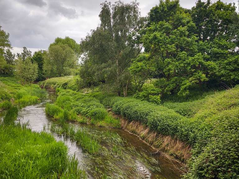 The River Roding | Komoot