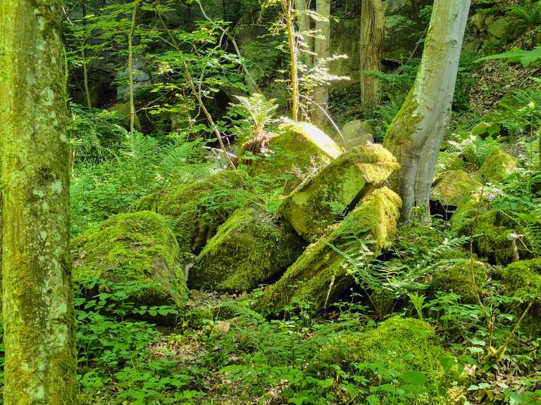 ab/bis Heilbronn MTB-Tour Waldheide 19 km | E-Mountainbike-Tour | Komoot