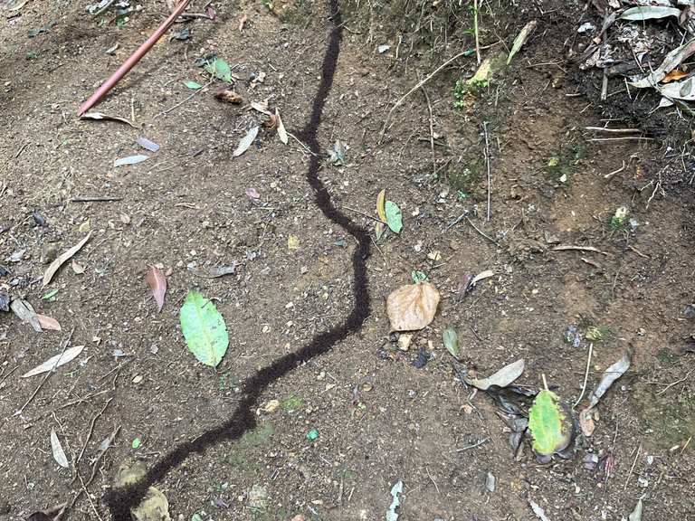 Lushoto to Mambo: Tag 1 Lushoto - Malindi | Wanderung | Komoot