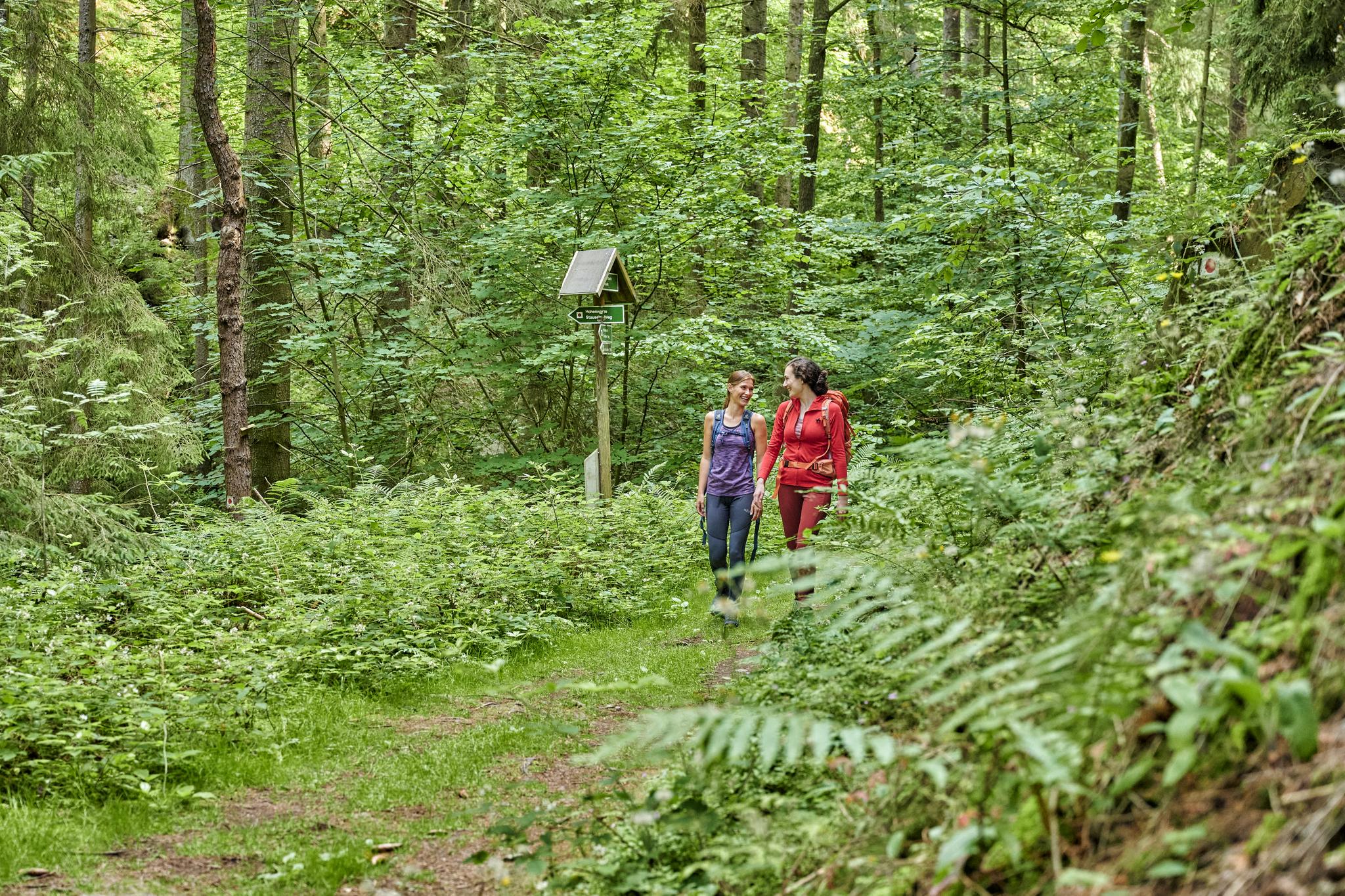 Long distance hiking trails in the Thuringian Forest | Hiking ...