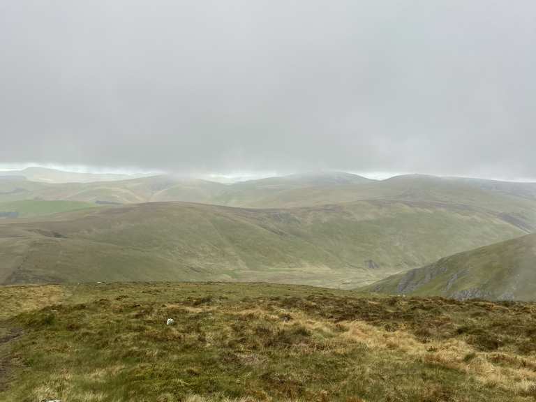 Cheviot Jog | Tour | Komoot