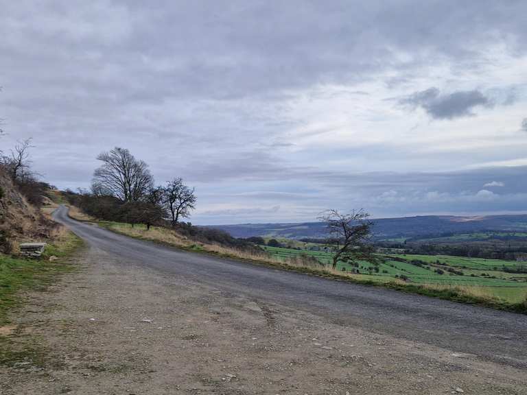 Longstone Edge loop — Derbyshire Dales National Nature Reserve- TRAIL ...