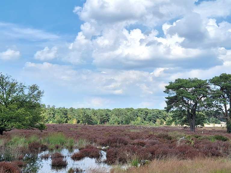 🇳🇱 Lekker leuk langs landelijk Loonsche Land | Fahrradtour | Komoot