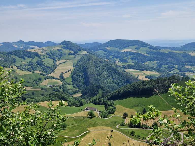 Aussichtspunkt Passwang – Vogelberg boucle au départ de Mümliswil ...