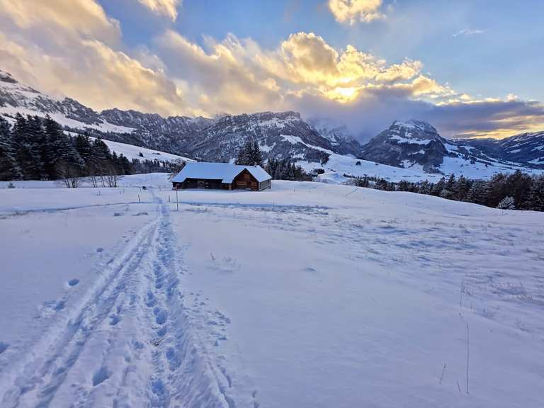03.01.25 Fähnerenspitz im Neuschnee ️🫶 | Wanderung | Komoot