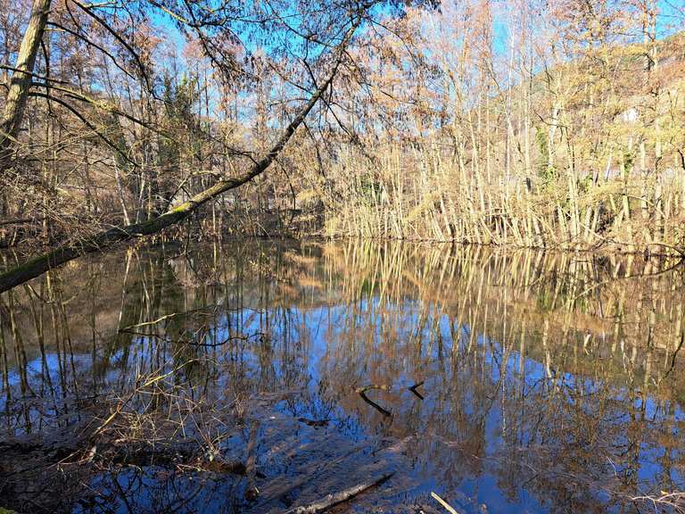 05.März.2025 Klausenthalhütte-Sankt Martin- Zeter Berghaus | Wanderung ...
