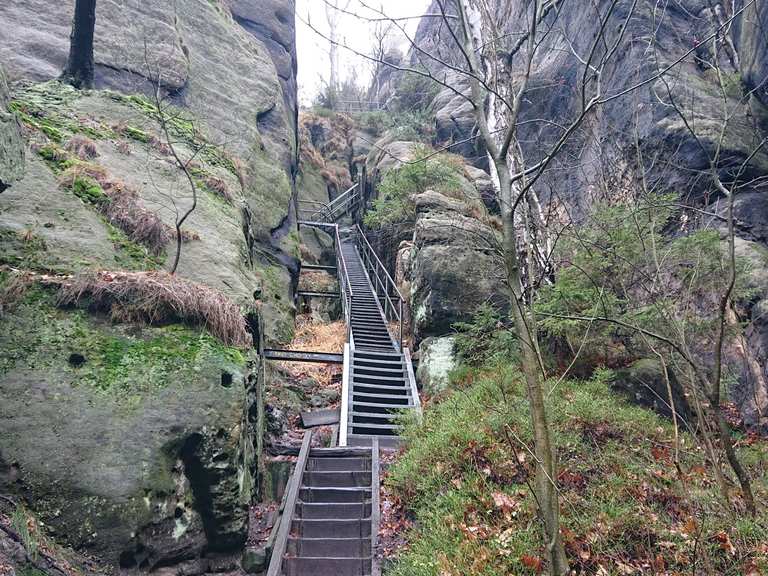 Sächsische Schweiz - Heilige Stiege, Weg zur Wildnis | Wanderung | Komoot