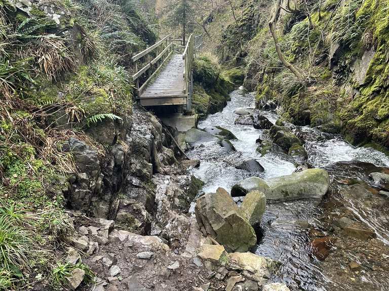 🥾⛰️Ben Cleuch circular | Wanderung | Komoot