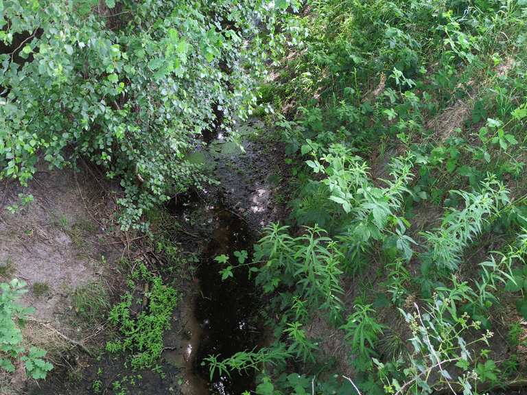 Fahrradtour zum Hummel Monitoring in Nuttel | Fahrradtour | Komoot