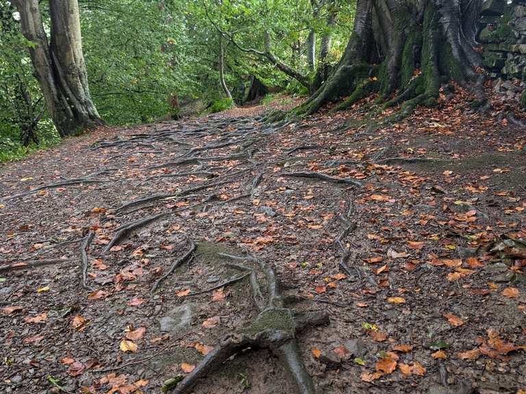 Askrigg, Mill Gill wet walk | Wanderung | Komoot