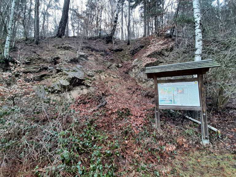 ⚒ FG Altbergbau Freiberger Randreviere #2️⃣ ( Mohorn & Grund ) ⚒ ...