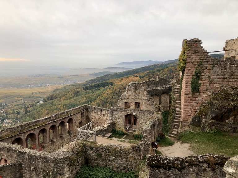 Vogesen - 3 Tagestour über Burgruinen, Felsen und bunte Wälder | Komoot