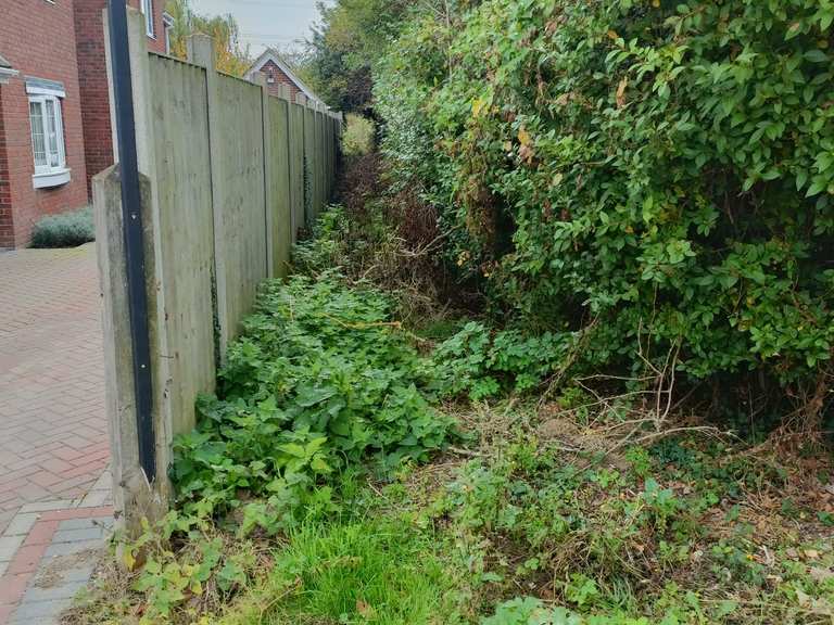 Exploring Grain and finding really bad public footpaths | Wanderung ...
