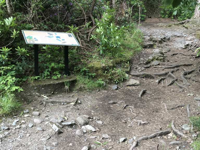 Newcastle County Down to the Brandy pad to Meelmore lodge | Wanderung ...