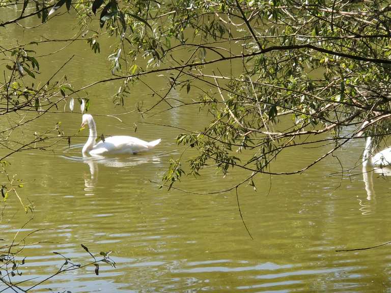 Graz - Wildon - Waldschacher Teich | Gravel-Tour | Komoot