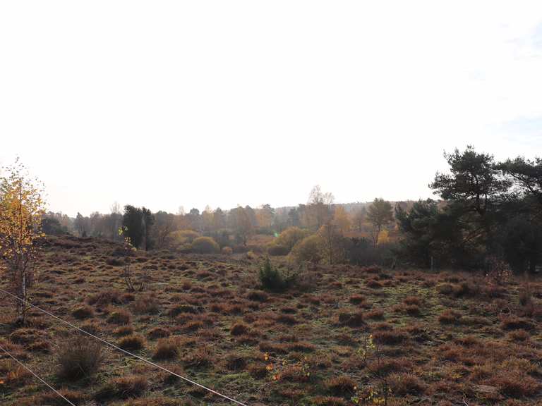 Lüneburger Heide 01.11.2020 | Fahrradtour | Komoot