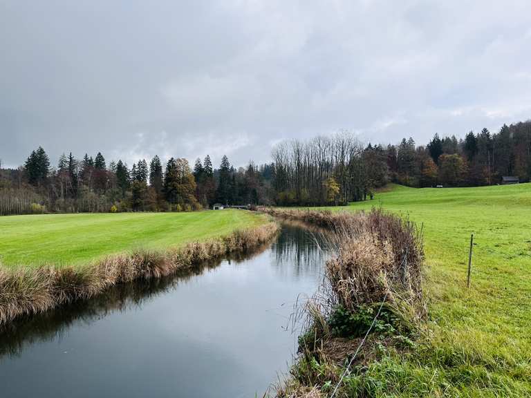 Hofgut Farny - Kraftwerk Talerschachen mit Mamale | Wanderung | Komoot