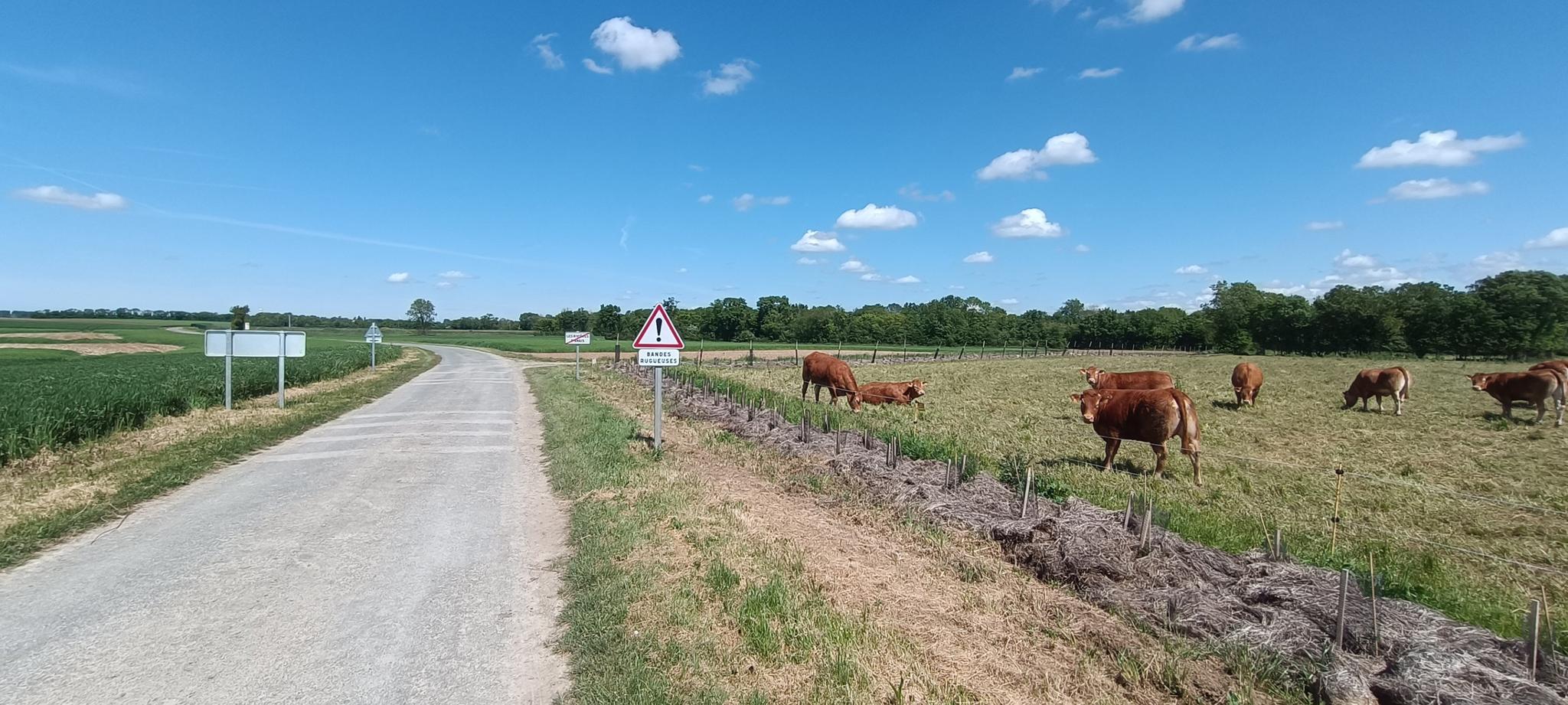 Things to Do around Surgères