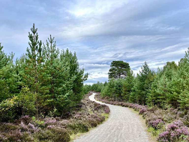 Sunderland to Inverness – National Cycle Network Route 7 | Cycling ...