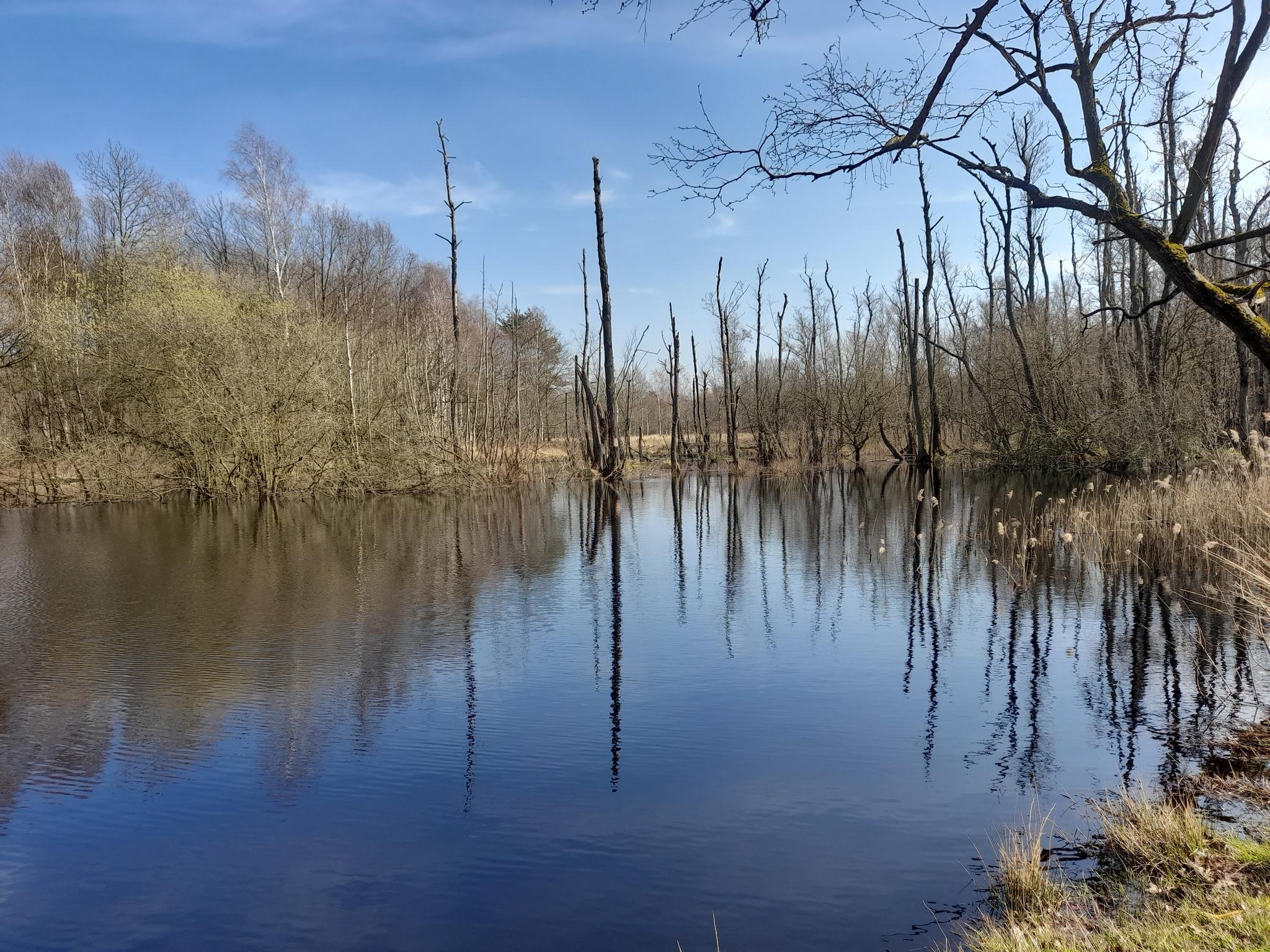 "Radeln für die Seele" | komoot