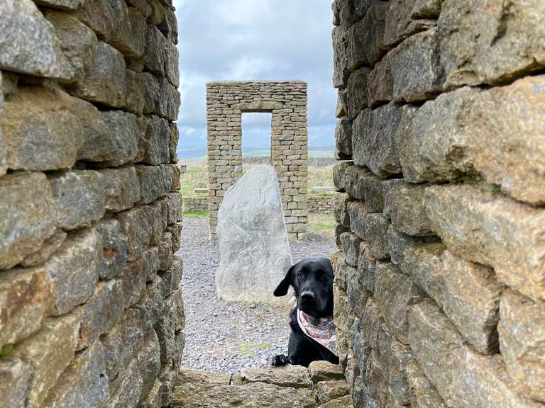 Hardy‘s Monument and Hell Stone Dolmen from free car park | hike | Komoot