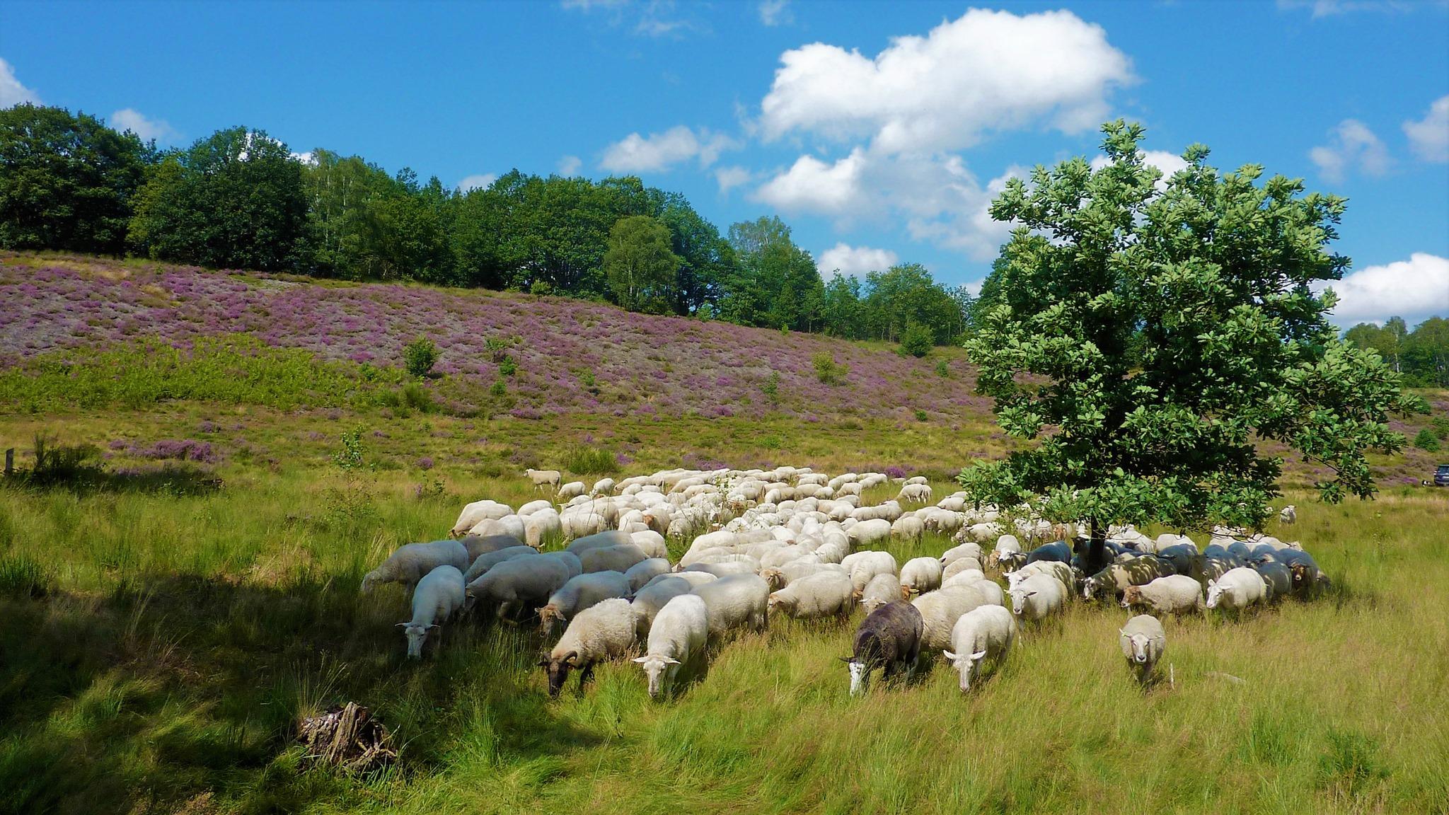 Via - een shortcut op de National Park Trail | Komoot