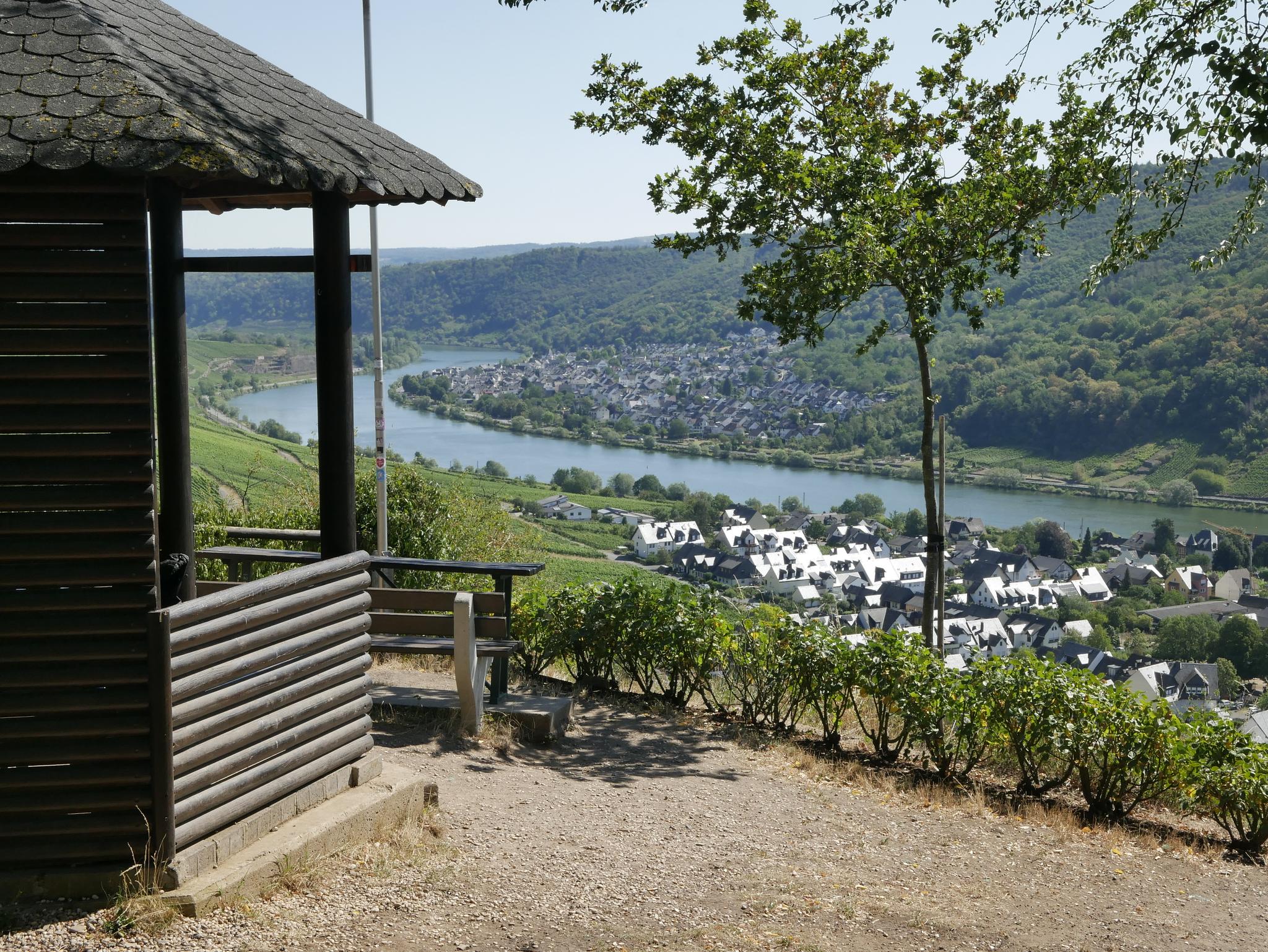 Moselhöhenweg -Ein historischer Höhenflug entlang der Mosel | Komoot