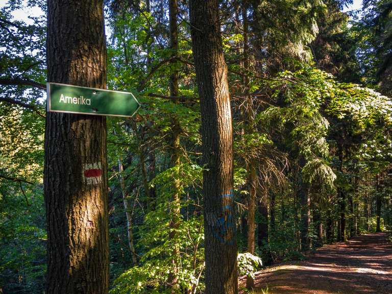 Rundwanderung Penig - Höllbachtal - Rochsburg - Amerika - Penig ...