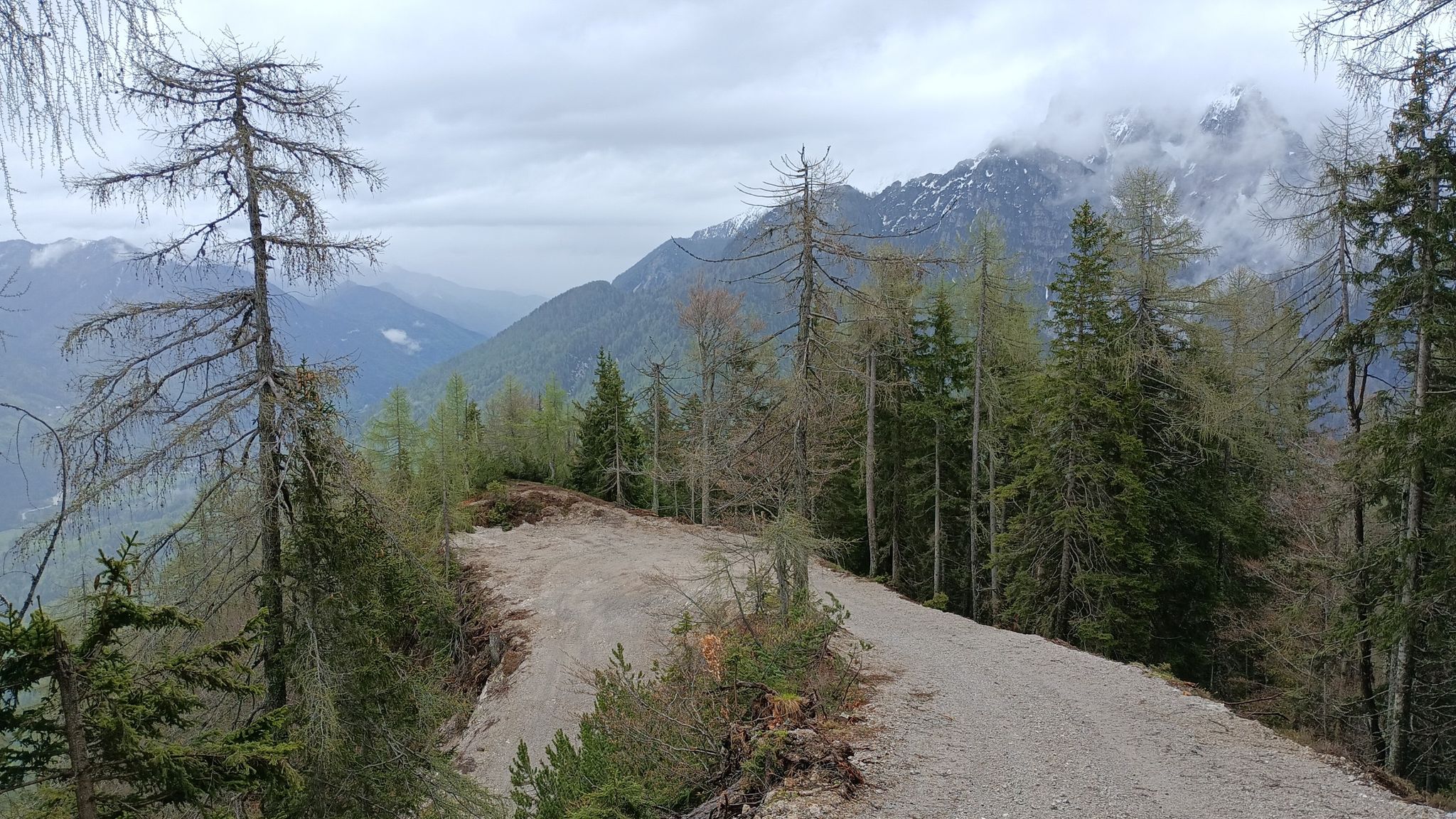 Kranjska Gora – Vitranc-Gipfel (1636 m) Runde von Kronau | Wanderung ...