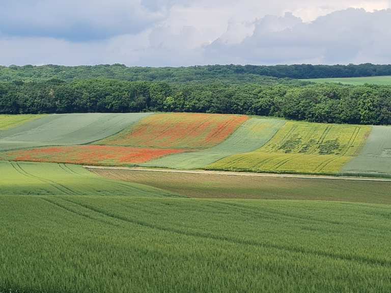 Kellergasse Prellenkirchen über Spitzerberg bis Kellerviertel Edelstal ...