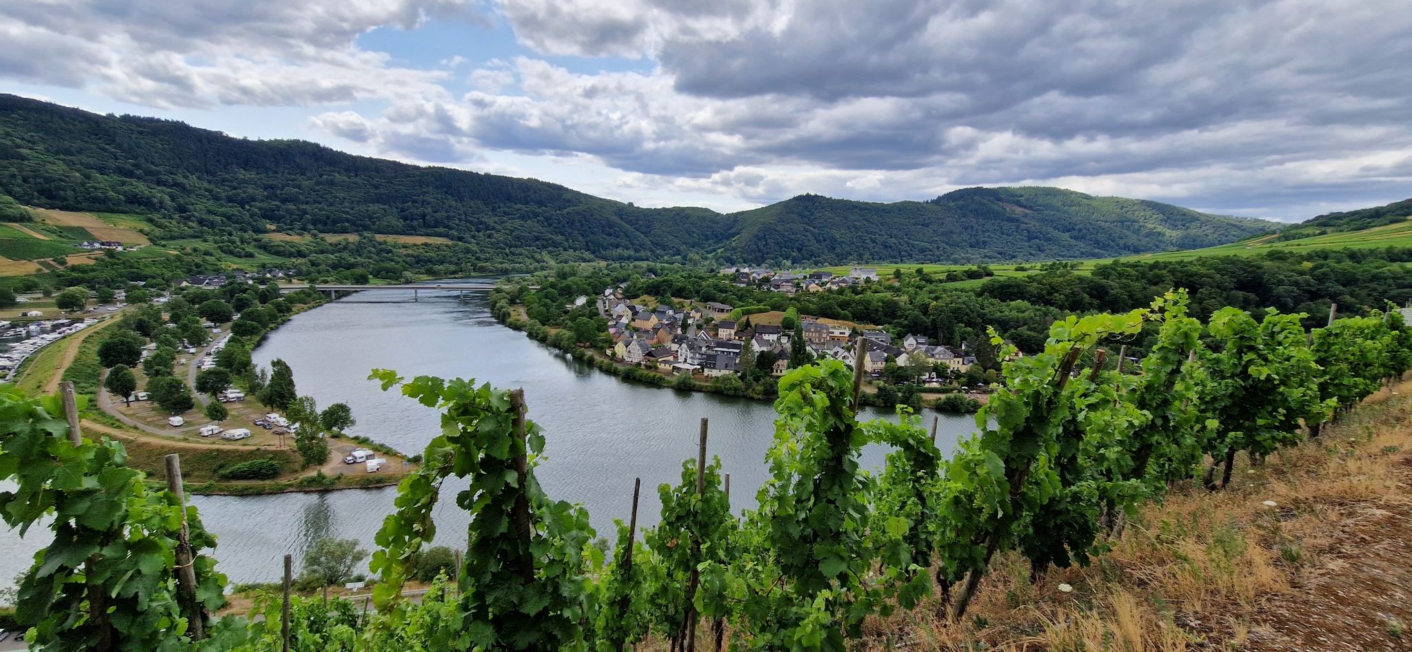 Blick auf Senheim – Urbanus-Steig Wanderweg Runde von Senhals ...