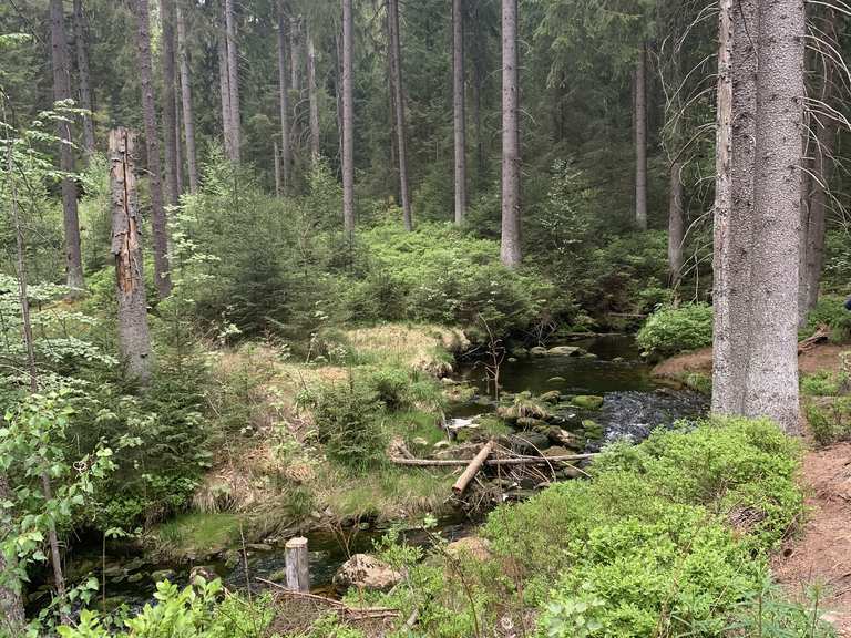 Bischofsgrün nach Karches (Naturpfad) | Wanderung | Komoot