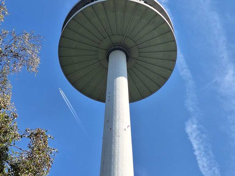 Kühborn / Schutzhütte Runde von Waldesch | Wanderung | Komoot