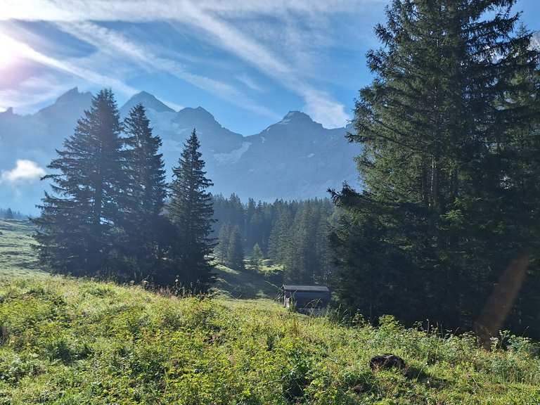 Berner Oberland: Wildi Frau🤩🏔😍🇨🇭👌 | Bergtour | Komoot