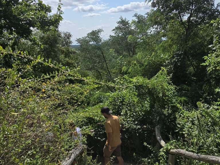 Teufels-Drachenberg – Teufelssee Runde von Grunewald🚶🏼‍♀️🚶🏼‍♀️ ...
