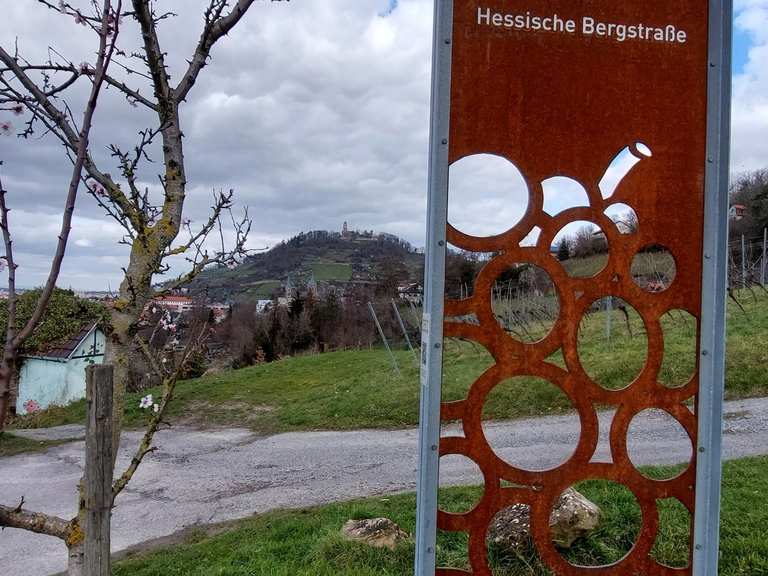 🍇 Heppenheim - Laudenbach - Hemsbach 🍇 | Wanderung | Komoot