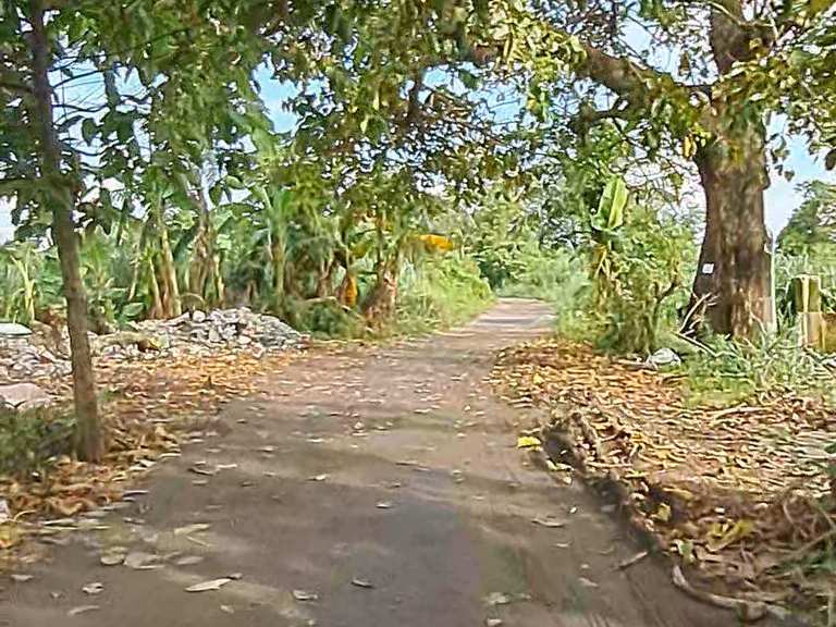 Post-Typhoon Enteng/Yagi (and Post-Birthday) Bike Ride | ride | Komoot