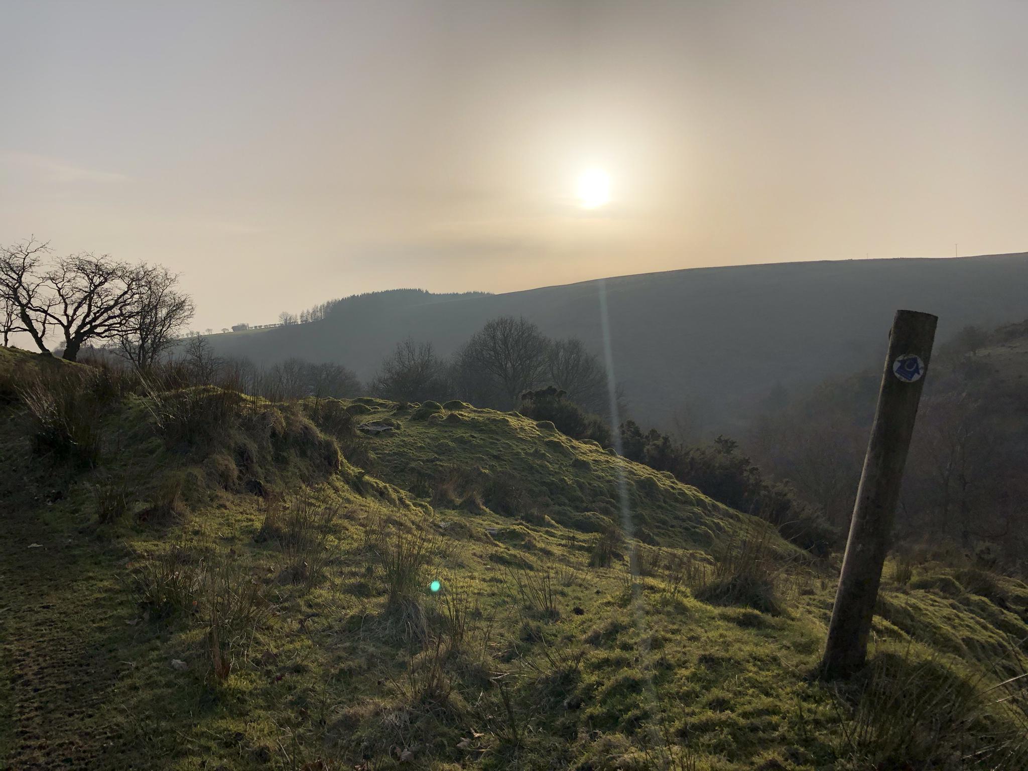 7 of the Best Walks in Brechfa Forest | Komoot