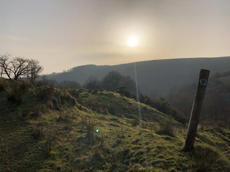 7 of the Best Walks in Brechfa Forest | Komoot