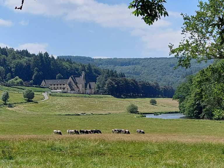 The great crossing of the Belgian Ardennes — La Transardennaise ...