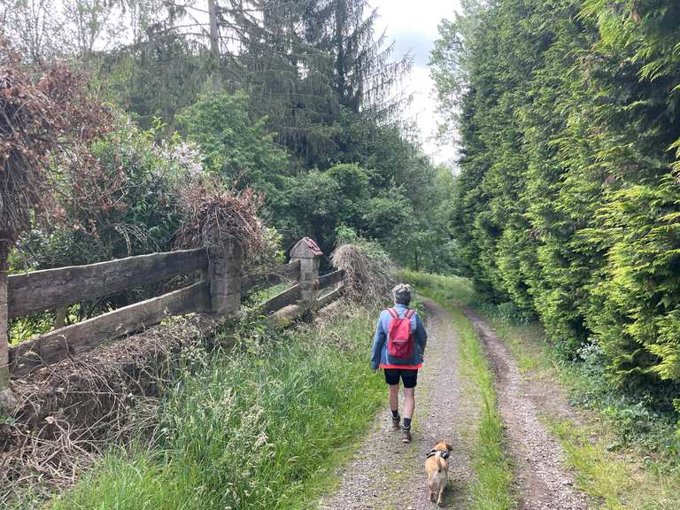 Wanderung im Brombachtal. Ab Hembach nach Kirschbrombach weiter nach ...