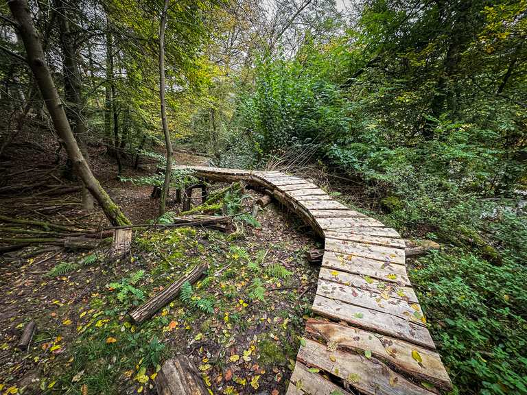 # TE24.089 | Rheingau- und Taunustrails: Expeditionen ins Trailreich ...