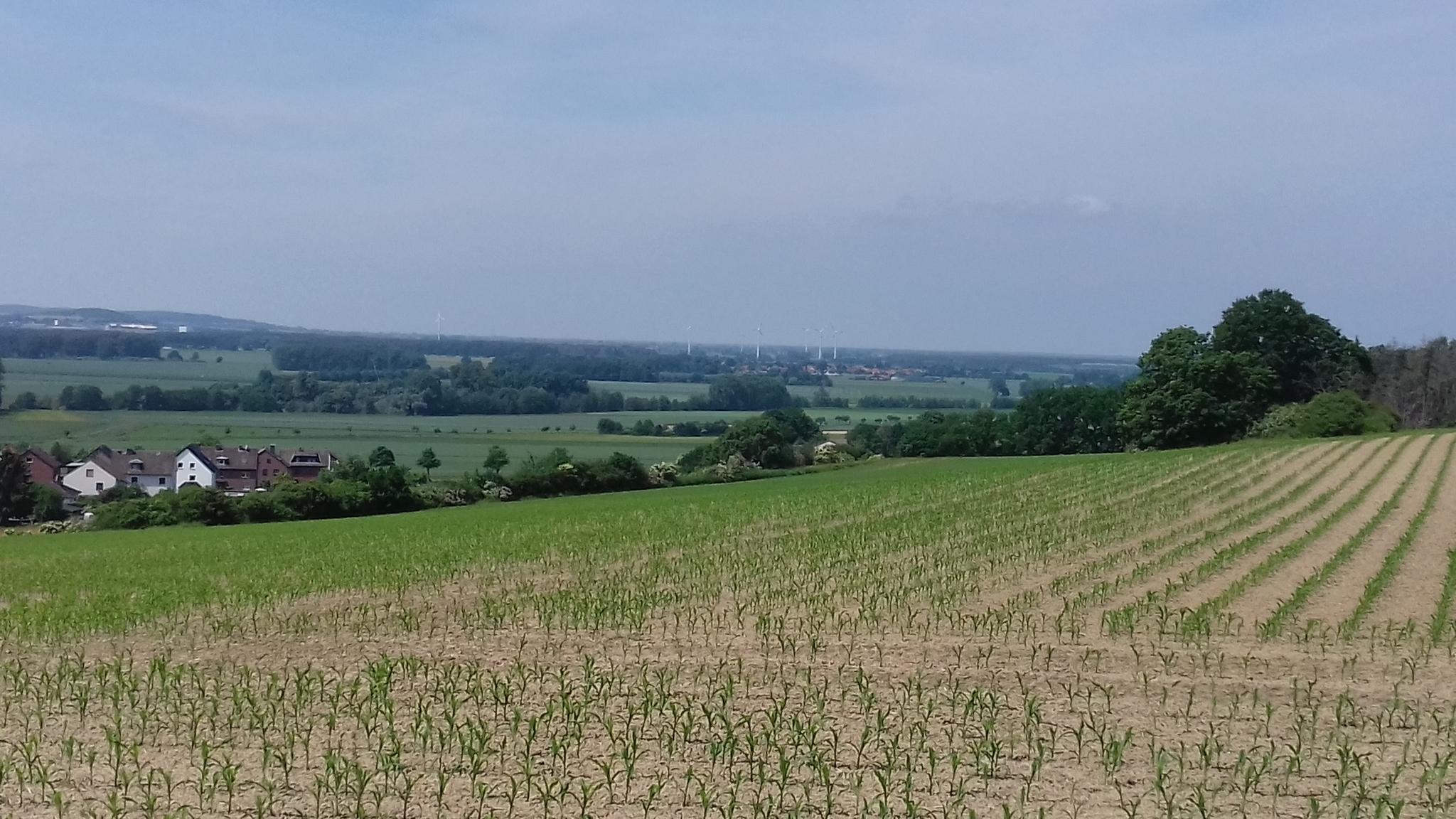 Things to Do around Surgères