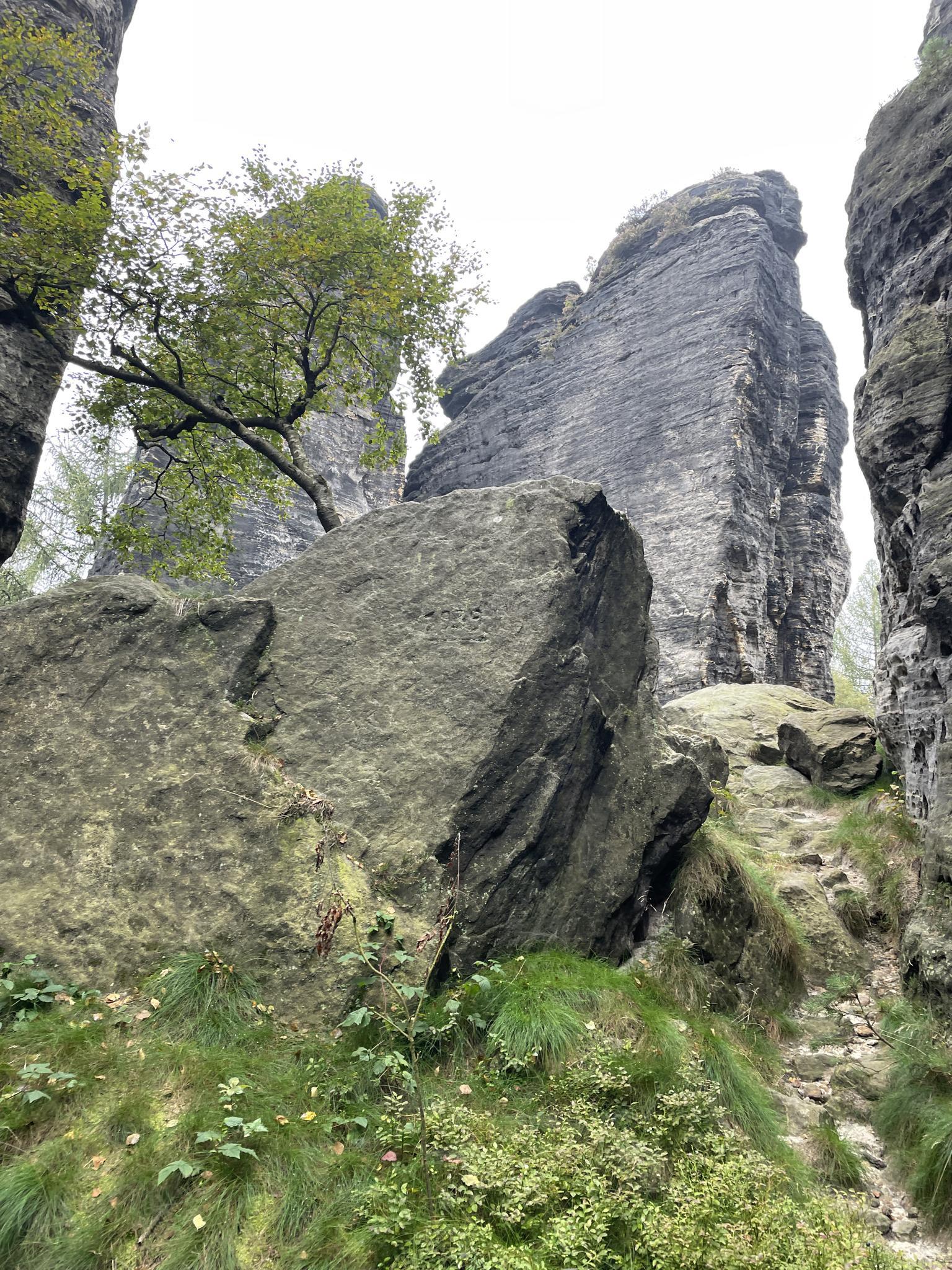 Things to Do around Rimsdorf