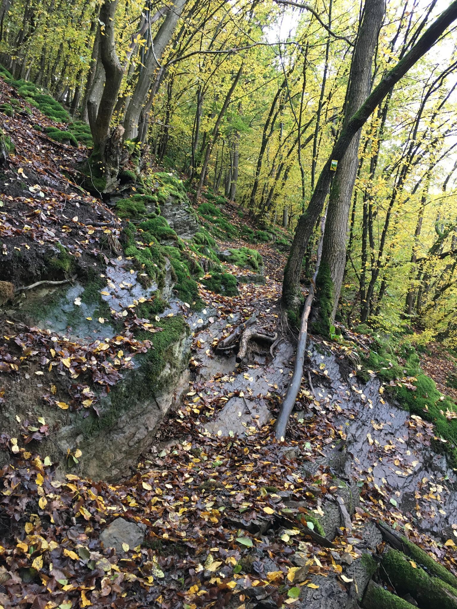 Co robić around Spring