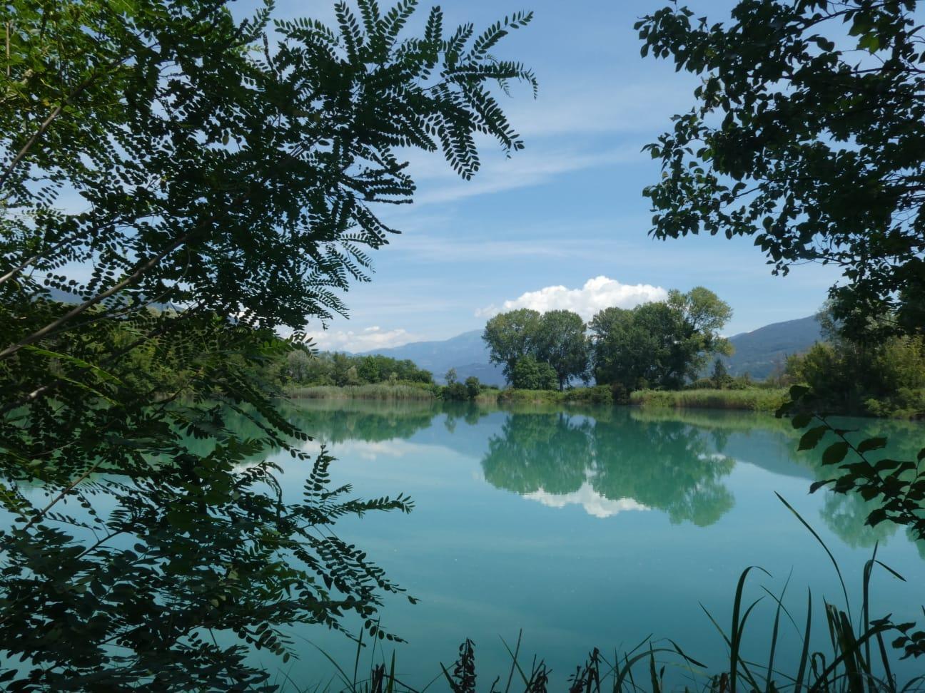 Aktivitäten rund um Polaveno